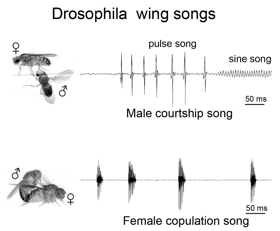Articles - Philipsborn Lab